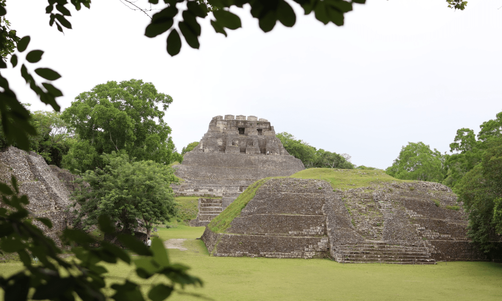 Cost Breakdown - HXP